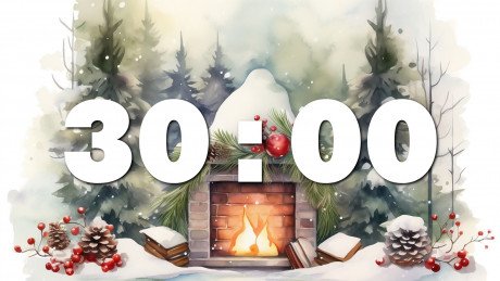 30:00 Timer - Fireworks for July 4th or New Years Eve